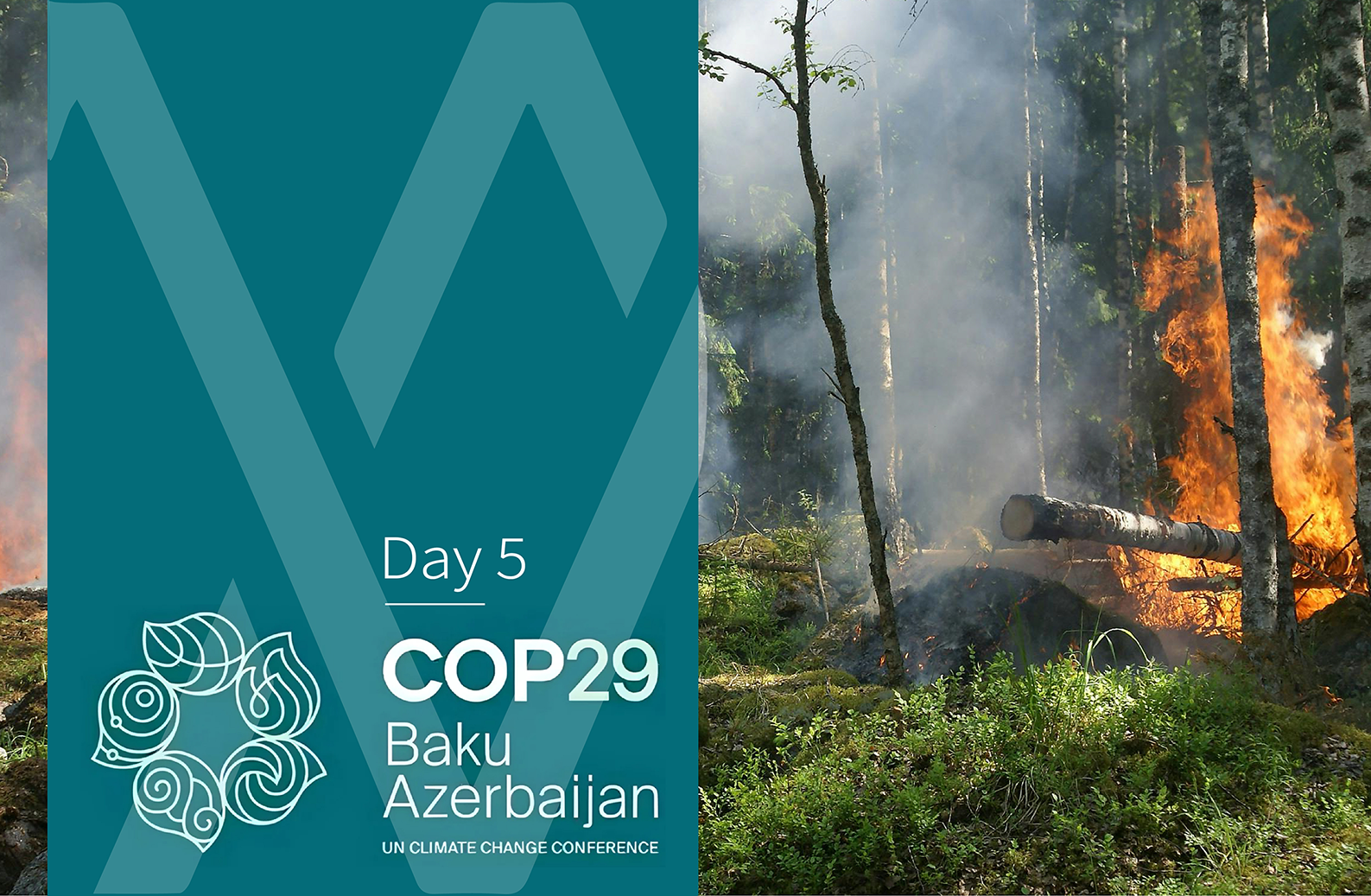 Highlights From Day 5 of Cop29 - NovAzure