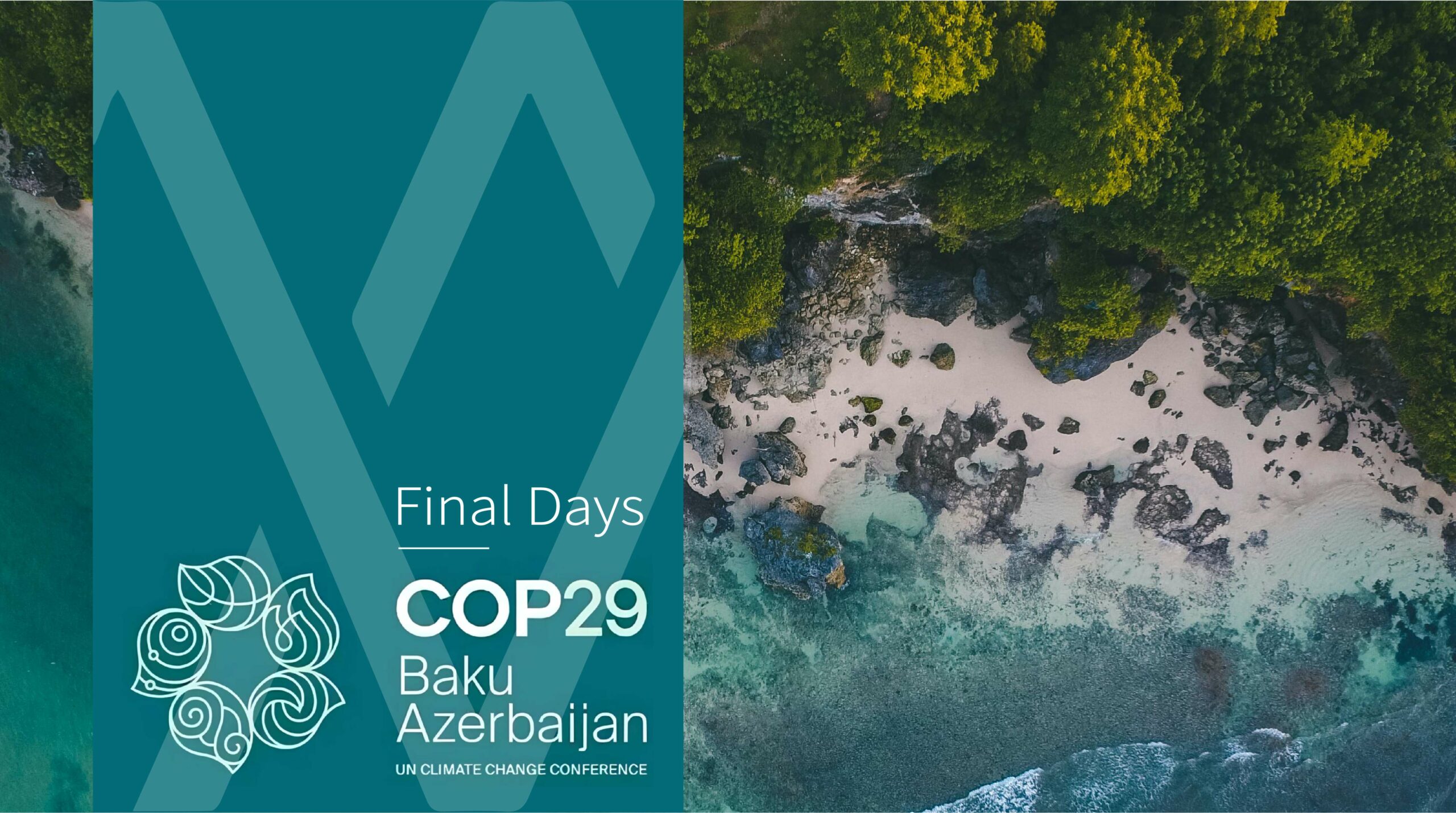 Final Days of Cop29 - NovAzure